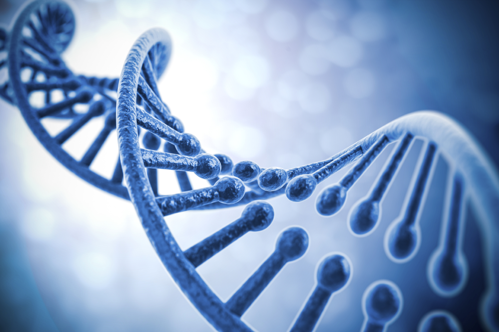 DNA - Trabalhos Escolares - Armazenamento da Informação Genética DNA - Trabalhos Escolares - Armazenamento da Informação Genética